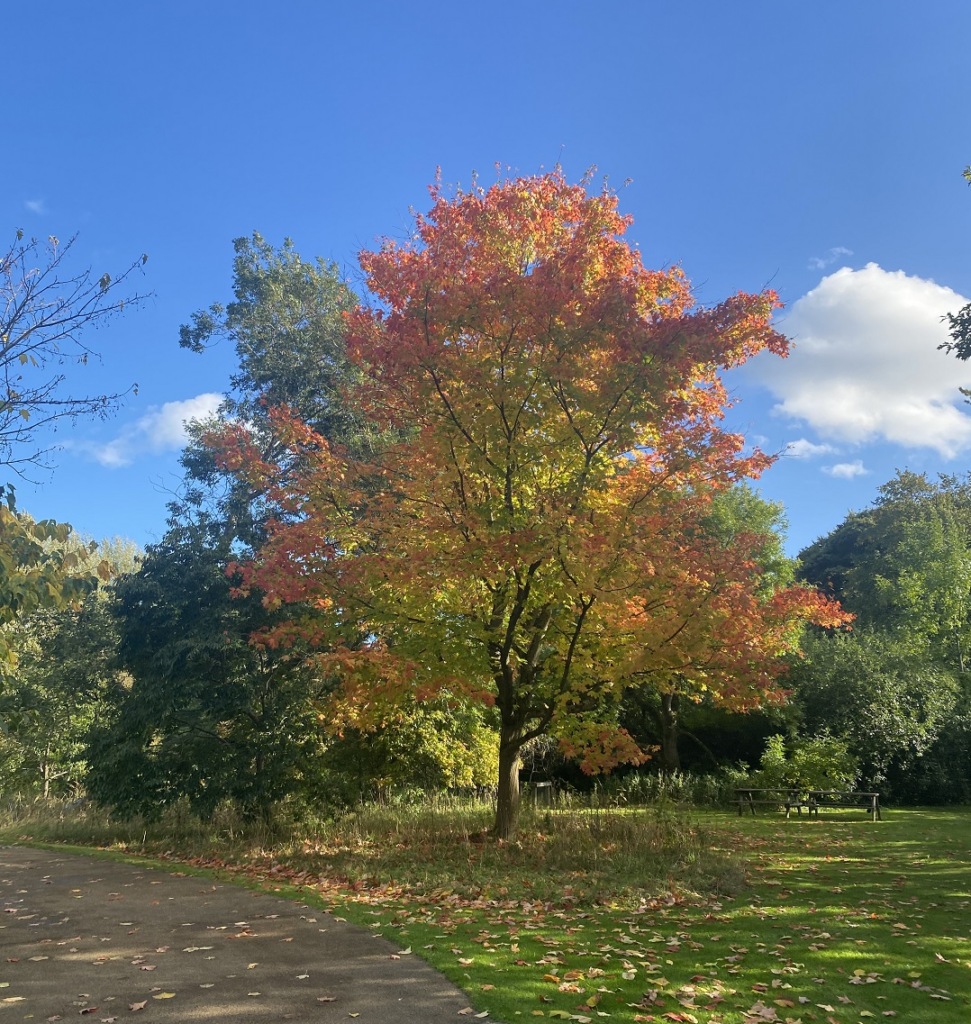 Why did I choose to study in the North East? (UK student edition) – The Durham Student