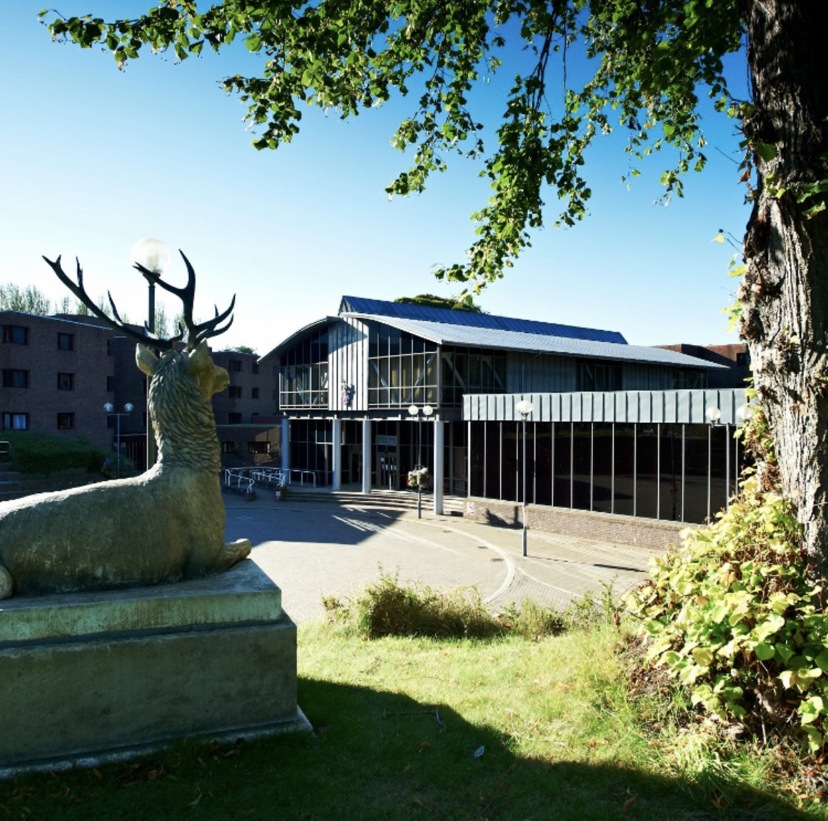 Life at Collingwood – STAGING – The Durham Student